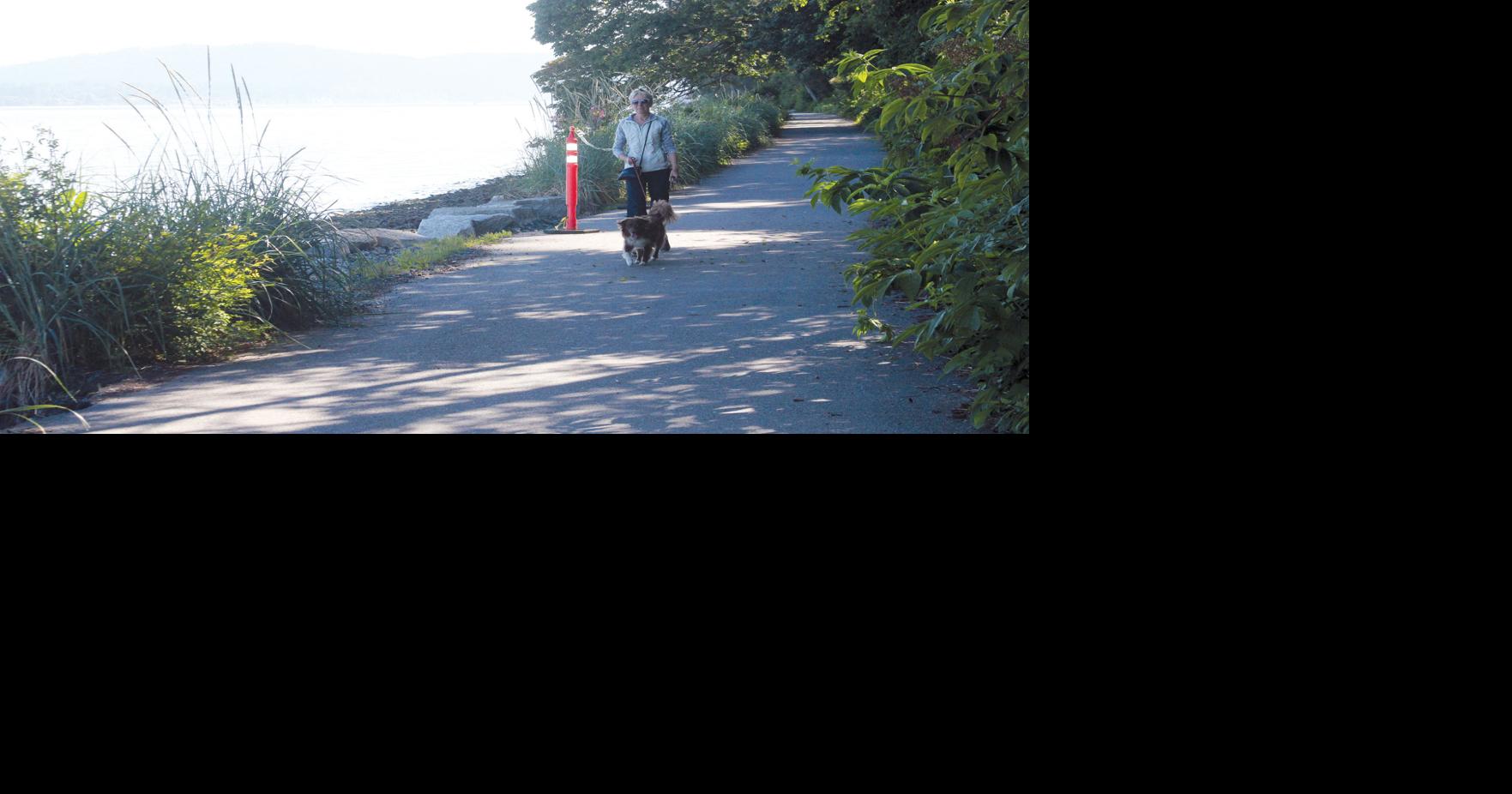 Guemes Channel Trail repairs could begin later this month | News ...