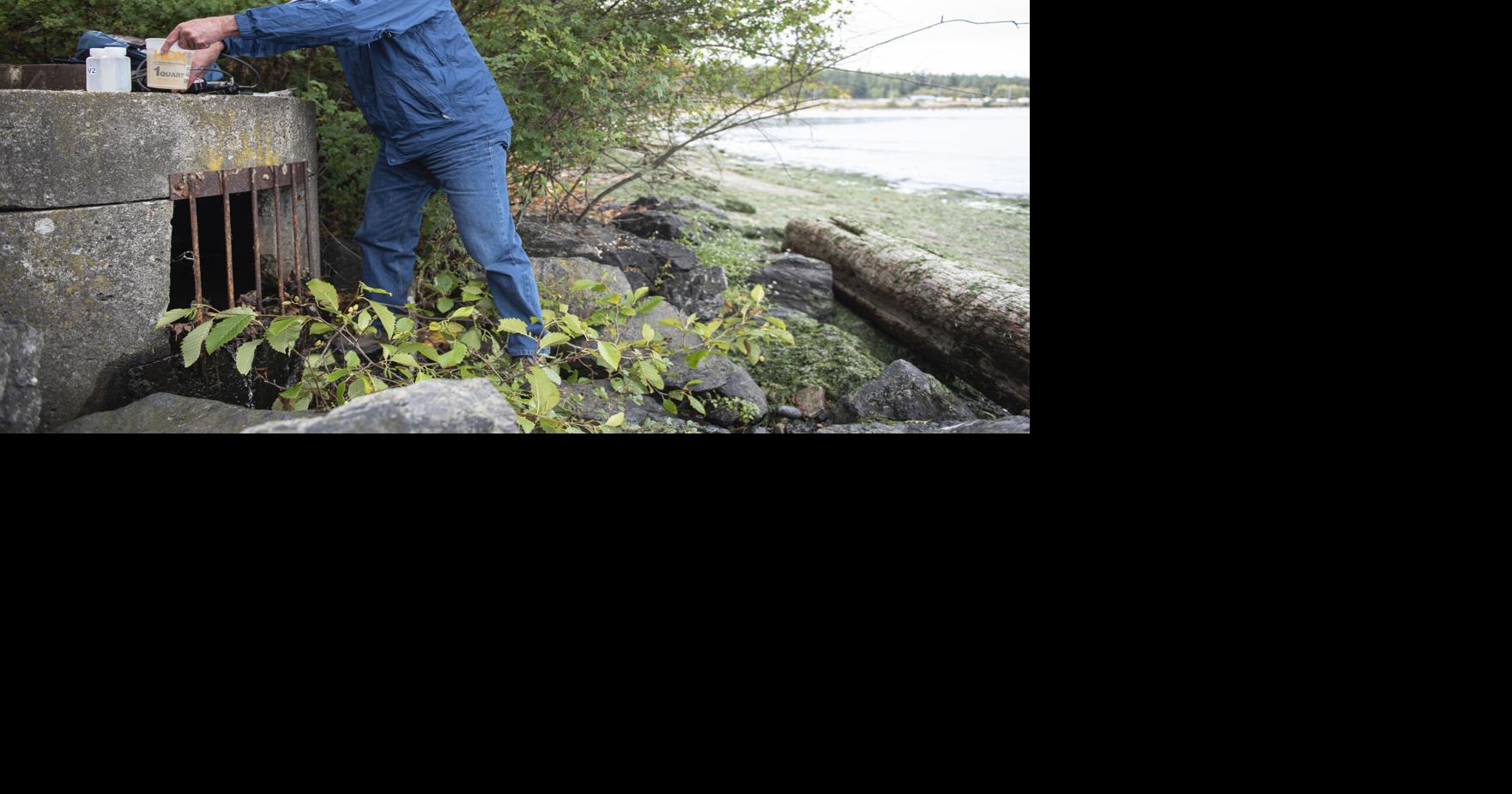 Stormwater volunteers find success in hunt for pollution | Environment ...