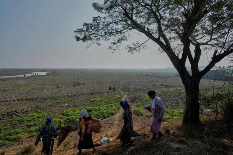 Photos of a community catch in an Indian fishing village marking the ...