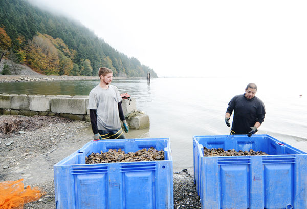 Officials tour Samish watershed, note progress and next steps | All ...