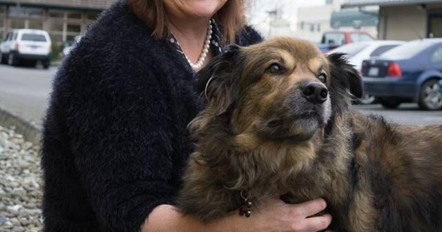 Allstate Insurance / Annette Booth | Women in Business 2024 | goskagit.com