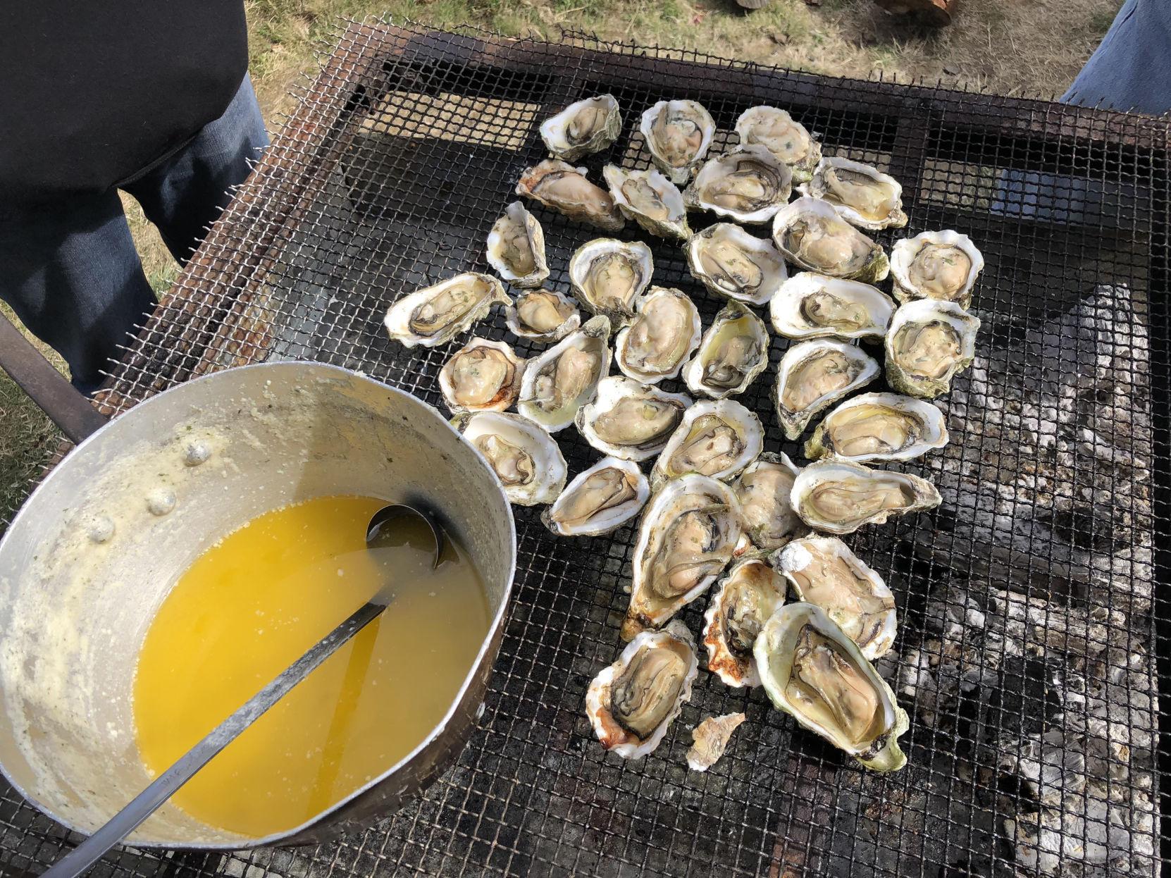 Health officials warn against raw shellfish consumption | Medicine ...