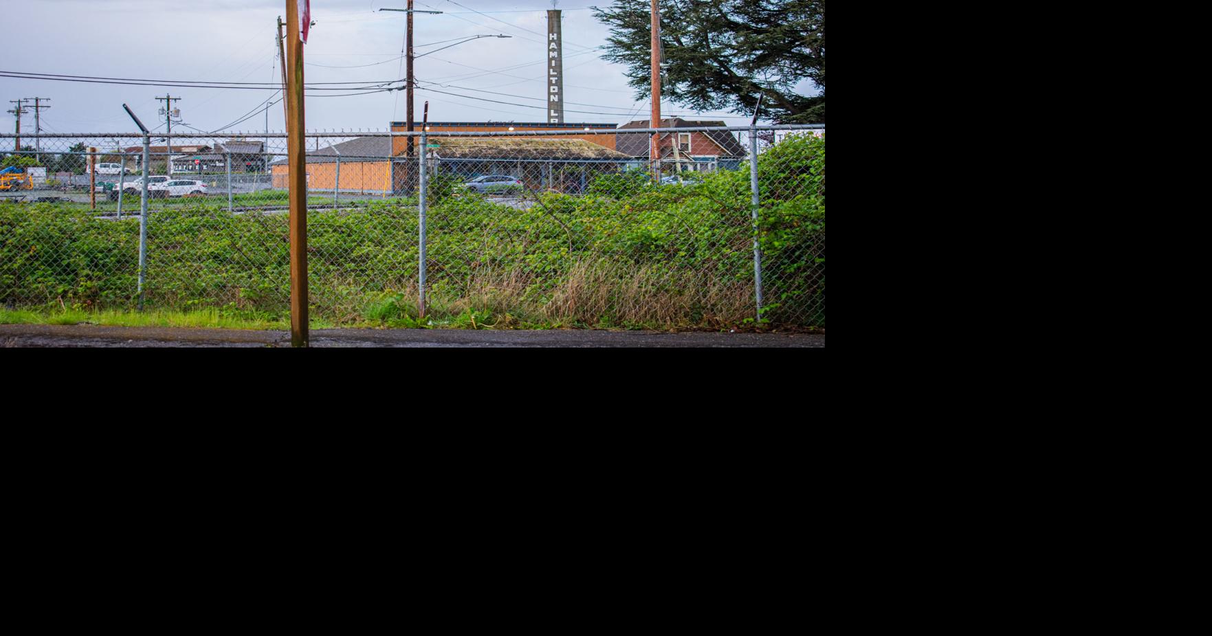 City of Stanwood, SCAAC seek art for planned Raplee Plaza | SC News ...