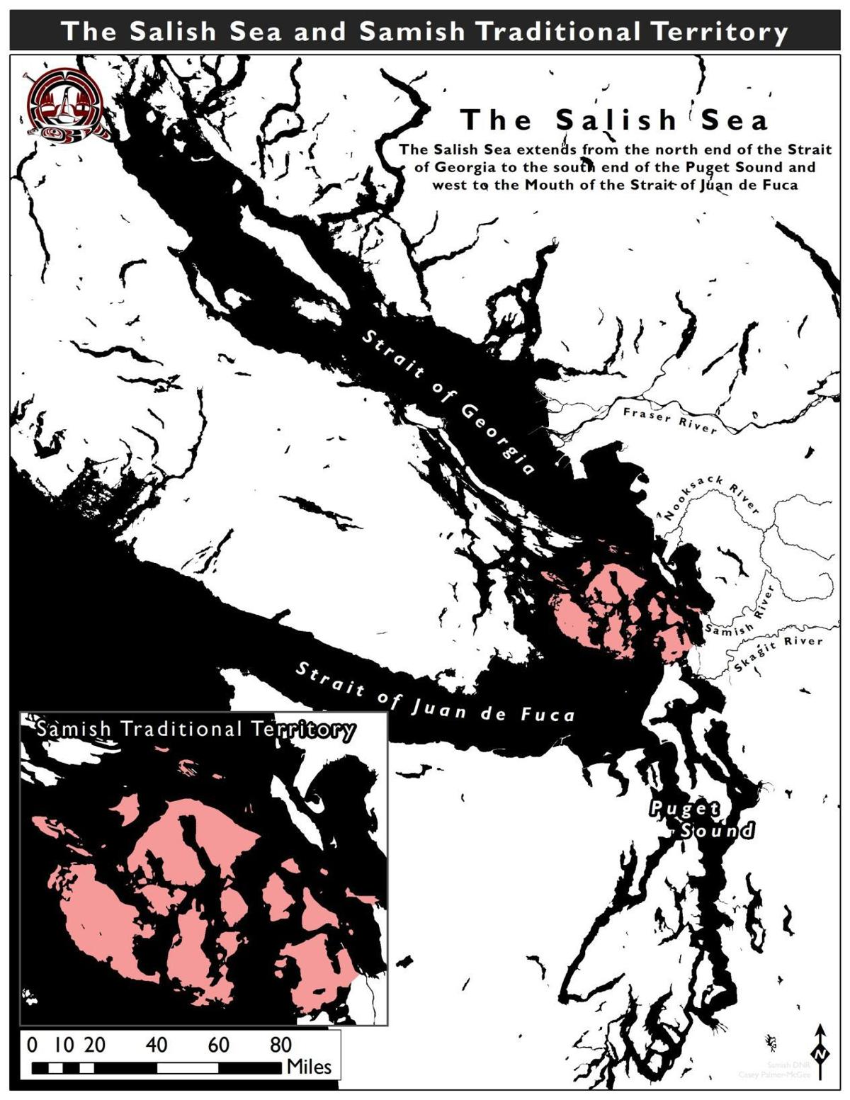 Samish tribe helping to study local kelp forests | Local News ...