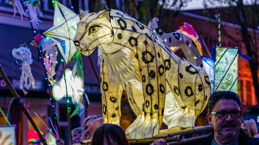 Luminary Light Parade illuminates Anacortes | Anacortes | goskagit.com