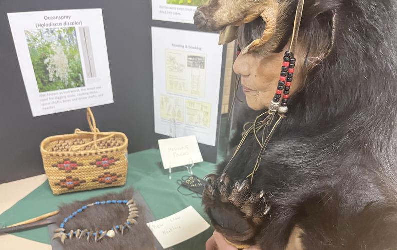 Elementary school hosts Upper Skagit Cultural Day | School | goskagit.com