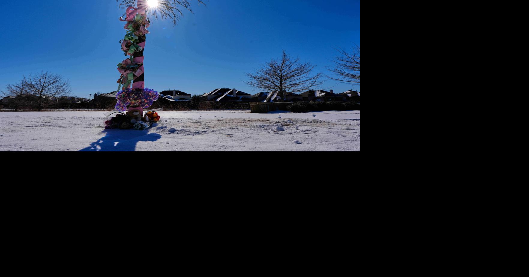 Winter Weather Texas | National News | goskagit.com