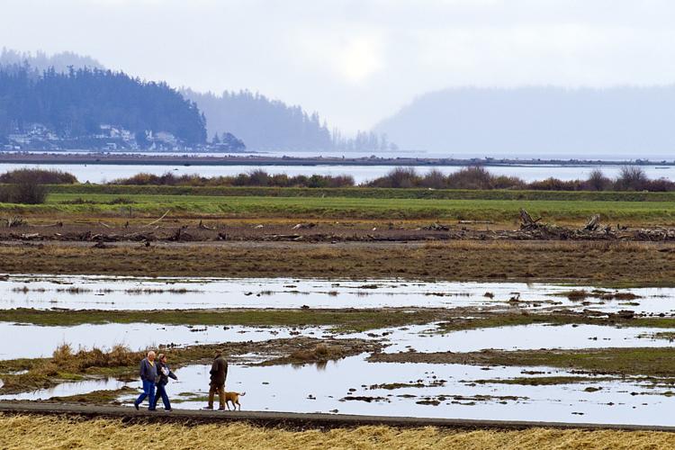 Leque Island reopens to public | News | goskagit.com