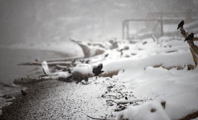 Cold weather, possible snow forecast for Stanwood-Camano | SC News ...