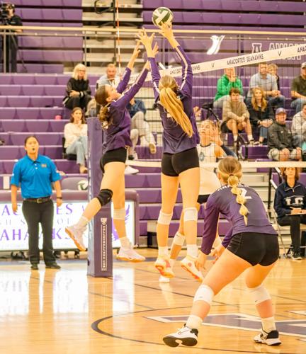Anacortes Sports Stories: On the hunt for state | Anacortes | goskagit.com