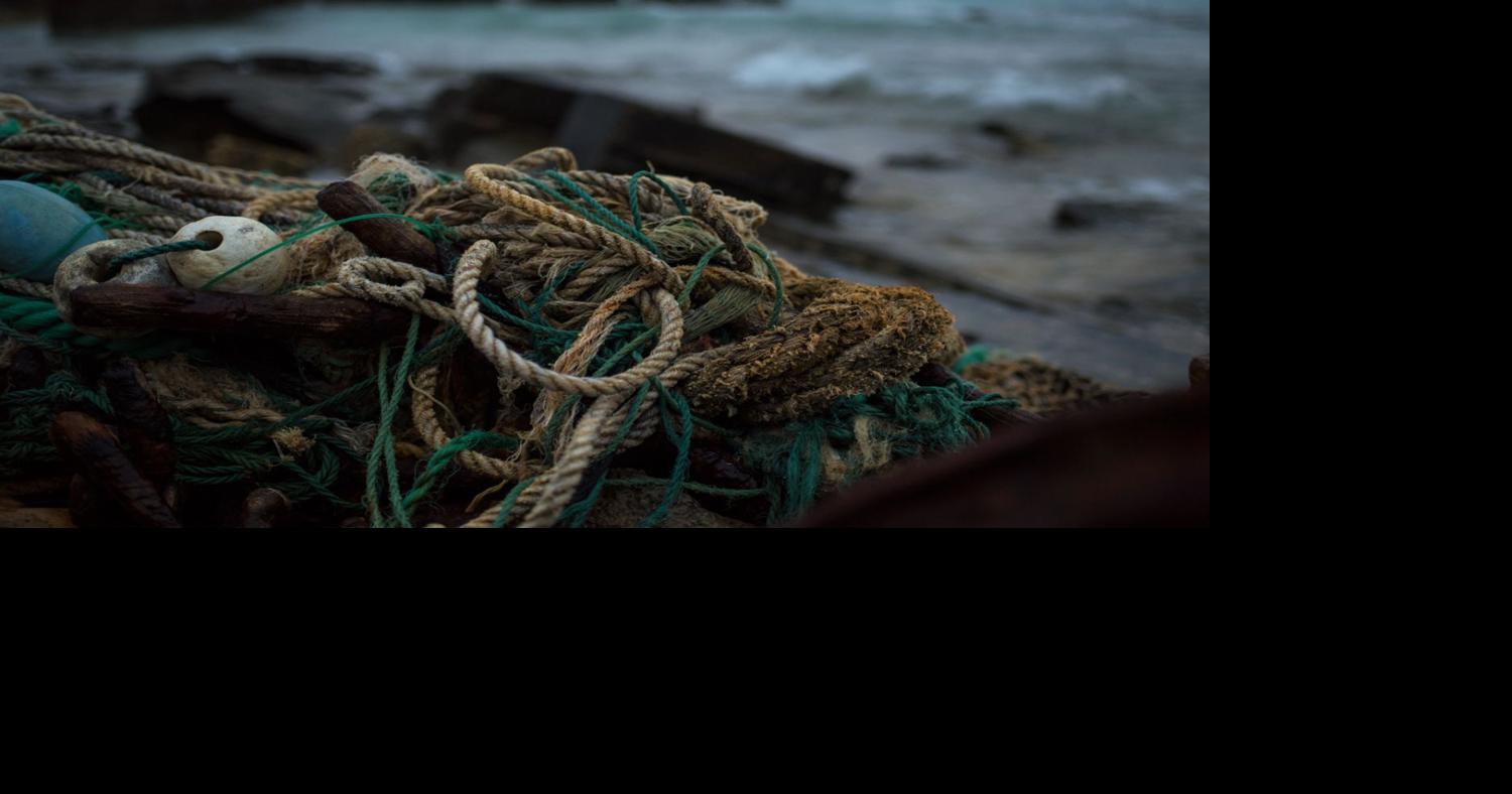 Boaters on front line in keeping Washington’s waters safe and clean ...