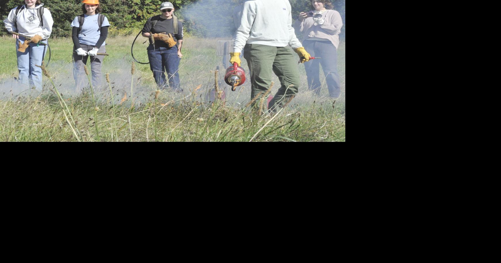 Groups conducting study on how best to restore coastal prairies ...