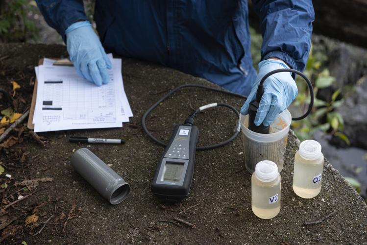 Stormwater volunteers find success in hunt for pollution | Environment ...