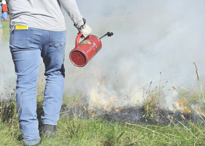 Groups conducting study on how best to restore coastal prairies ...
