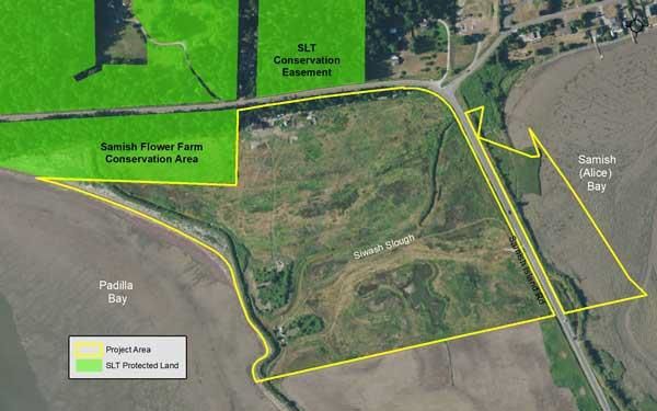 Samish Island, Stillaguamish delta salt marsh projects get federal ...