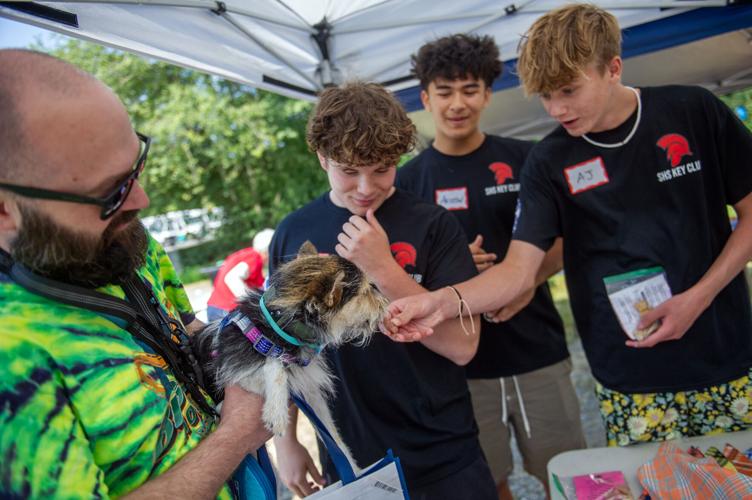 Tail-wagging fun: CASA holds annual dog wash | News | goskagit.com