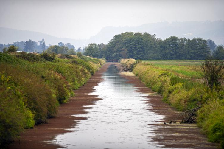 Big Ditch Access Area near Stanwood reopens | News | goskagit.com