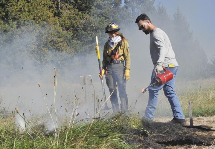 Groups conducting study on how best to restore coastal prairies ...