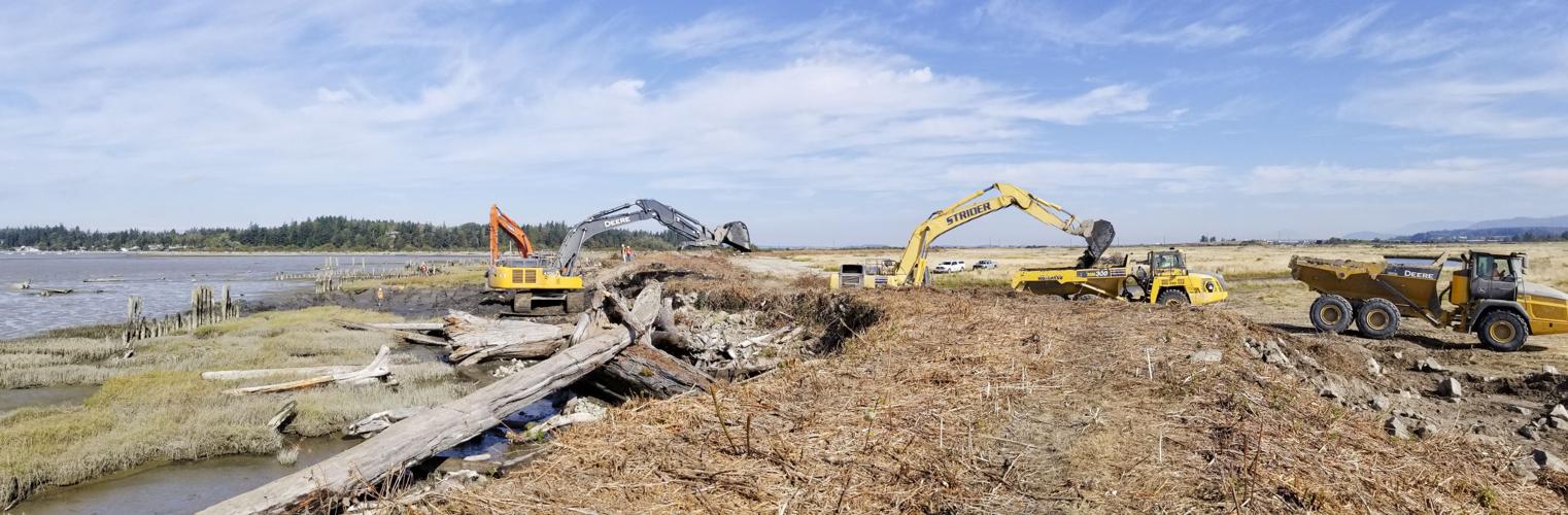 Photo Gallery: Leque Island restoriation project, 9.18.19 | Gallery ...