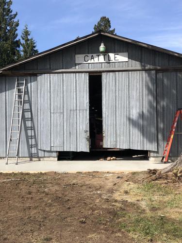 Stanwood Camano Fairground's cattle barn gets dressed up thanks to ...
