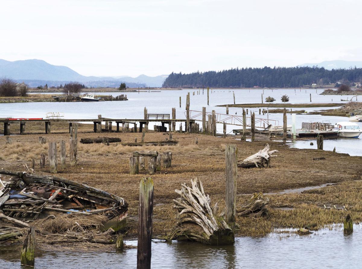 No more special spring pollution evaluations for Samish Bay | Local ...
