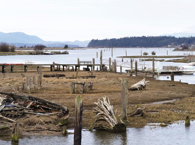 No more special spring pollution evaluations for Samish Bay | Local ...