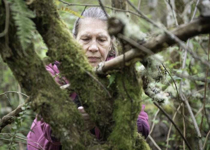 Native plants remain important to member of Samish Indian Nation ...