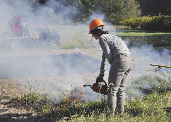 Groups conducting study on how best to restore coastal prairies ...