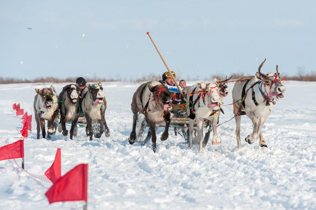 Samish tribe, Russian indigenous group compare cultures | News ...