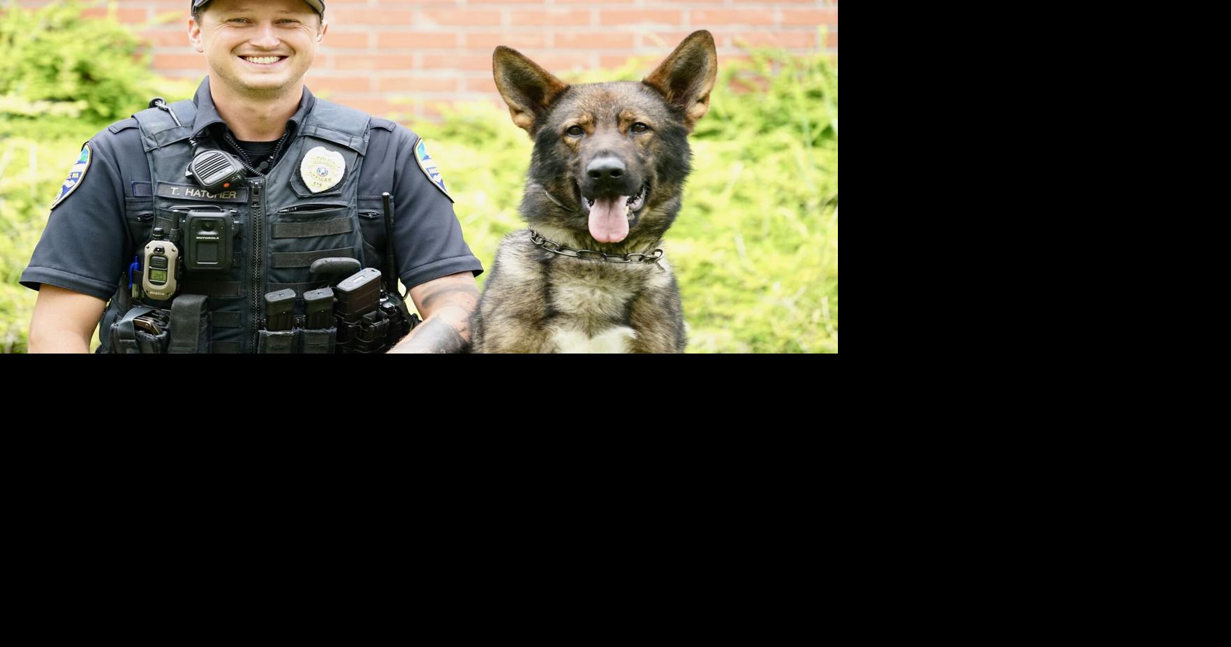 ‘He just wants to play’: Anacortes to swear in new police dog ...