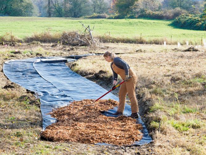 Sedro-Woolley park project taking shape | Community | goskagit.com