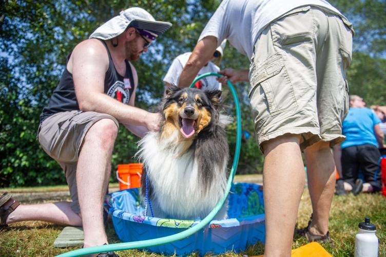 Tail-wagging fun: CASA holds annual dog wash | News | goskagit.com