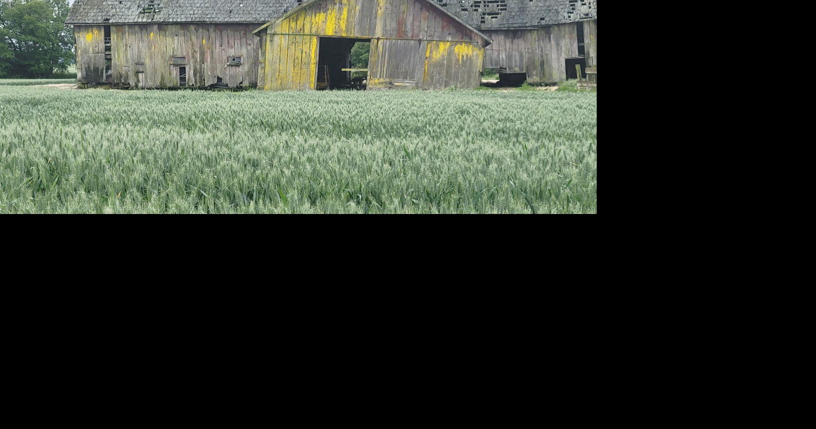 Skagit Views: A rustic valley beauty | 360 | goskagit.com