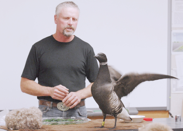 On Your Block: Wonderful world of waterfowl | All Access | goskagit.com