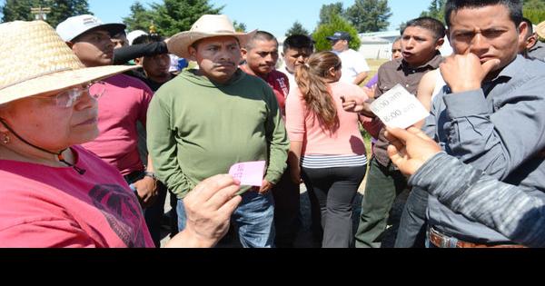 Sakuma Bros. farmworkers walk off the job | All Access | goskagit.com