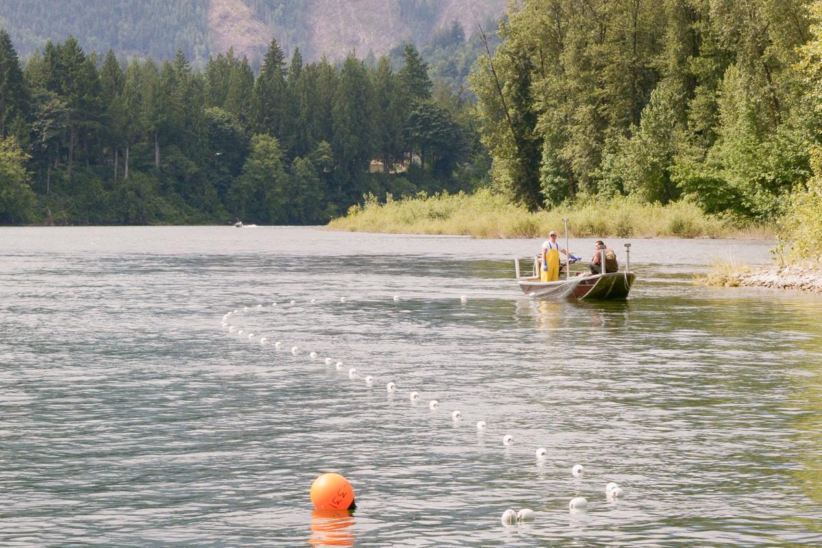 Upper Skagit Tribe holds annual sockeye fishery for tribal elders ...