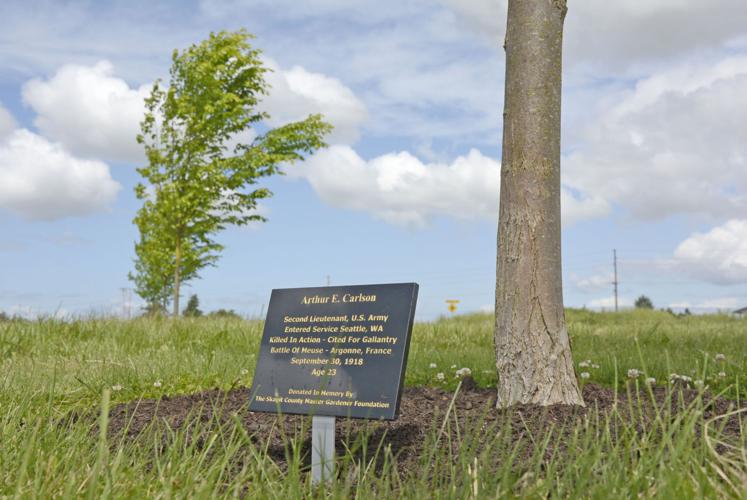 Ceremony held to commemorate Memorial elms | Local News | goskagit.com