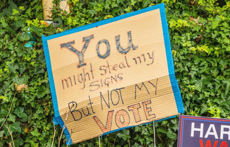 Anacortes having a rash of political sign thefts | Elections | goskagit.com