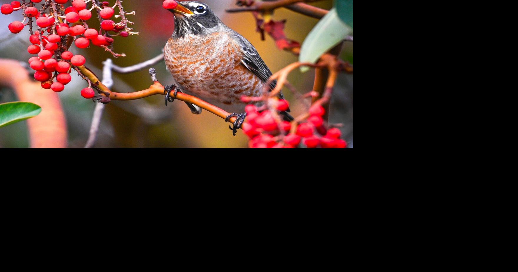 Photos: Skagit Views | Gallery | goskagit.com