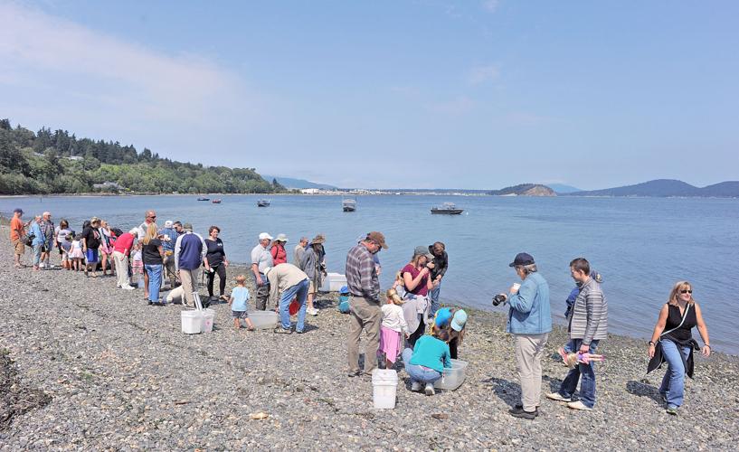 Fidalgo Bay Day | Community | goskagit.com
