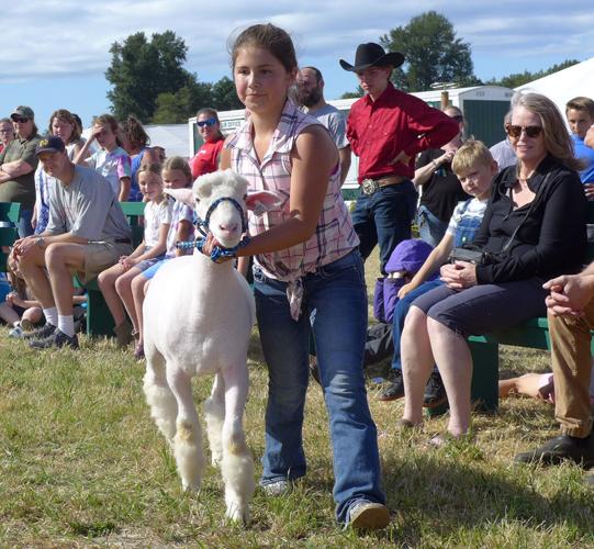 Photo gallery: Silvana Fair, 7.27.19 | Gallery | goskagit.com