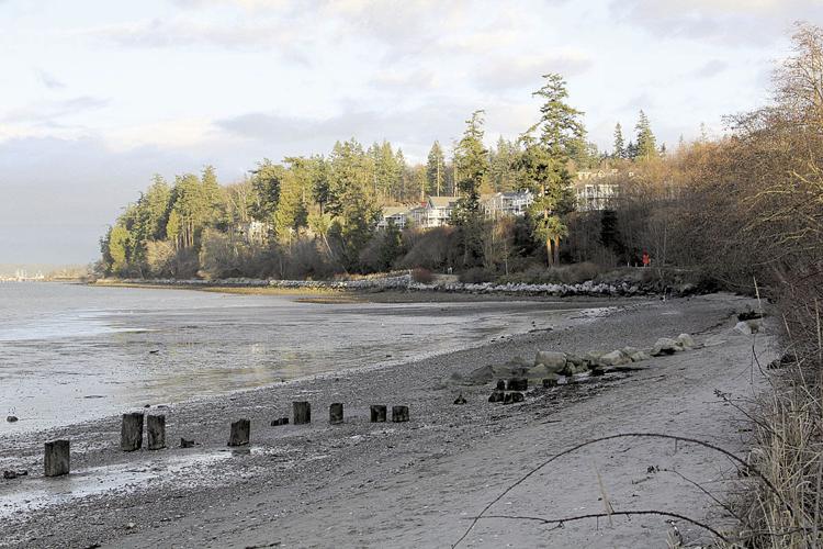 Guemes Channel Trail proposed route sparks worries about wetland | News ...