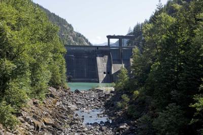 Skagit River dams relicensing process again granted extension | News ...