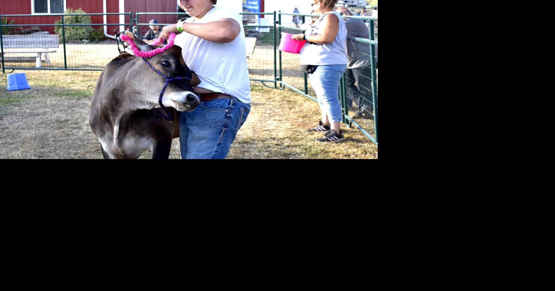Competition, carnival and cows at the Stanwood-Camano Community Fair ...