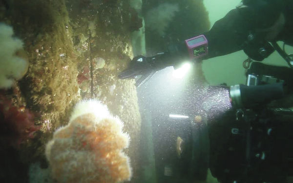 Puget Sound diver shares clean-water mission with Skagit committee ...