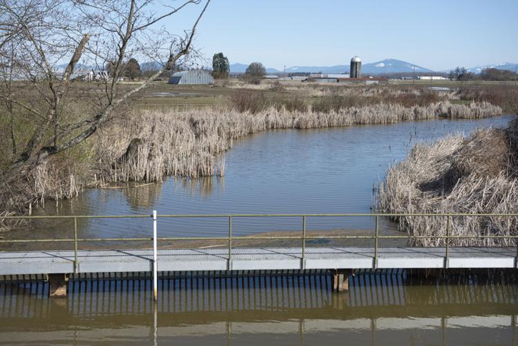 Dike work begins at Skagit Wildlife Area Headquarters Unit | Fruit ...