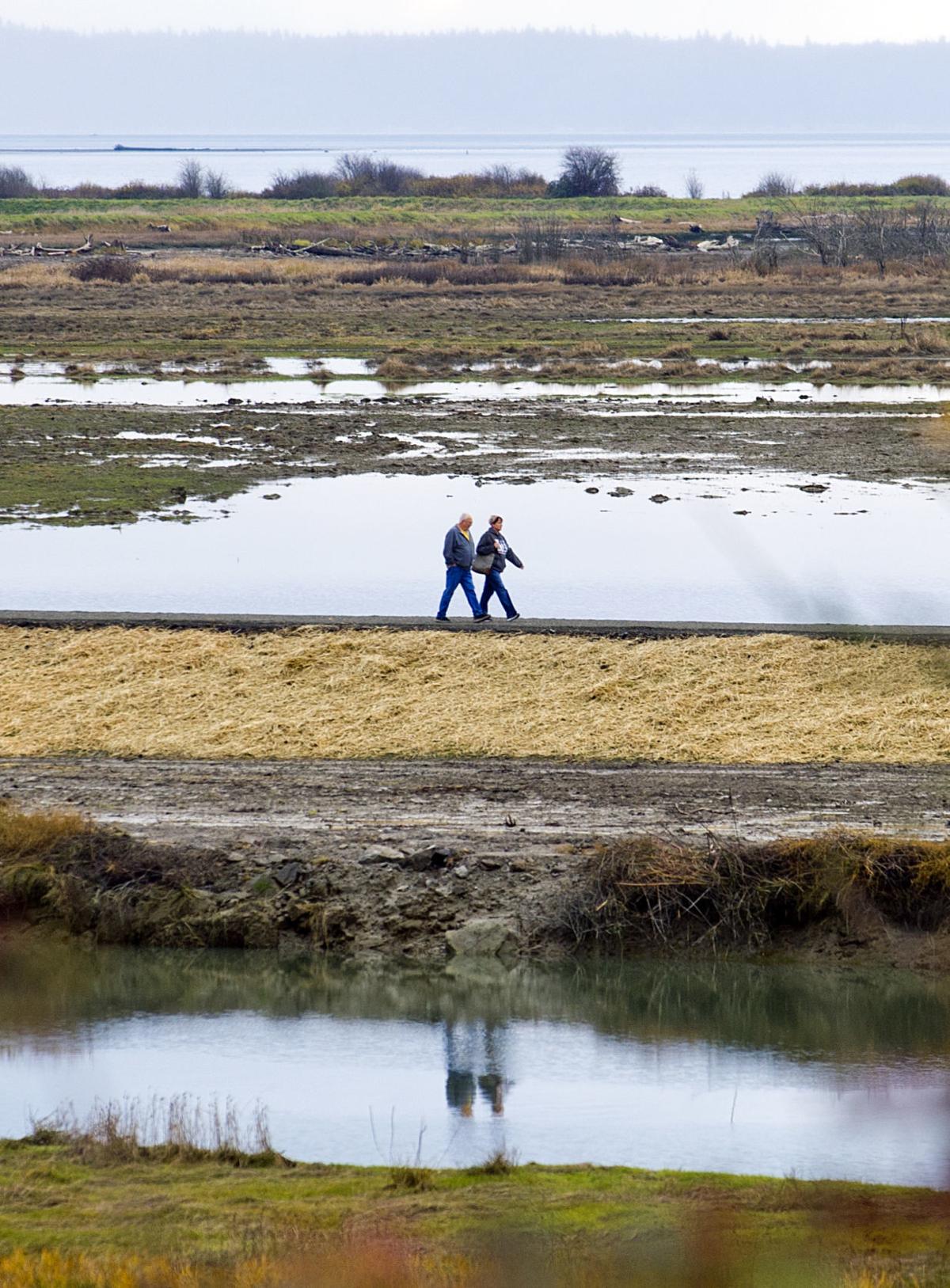 Leque Island reopens to public | News | goskagit.com