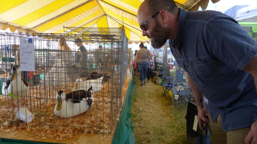 Photo gallery: Silvana Fair, 7.27.19 | Gallery | goskagit.com