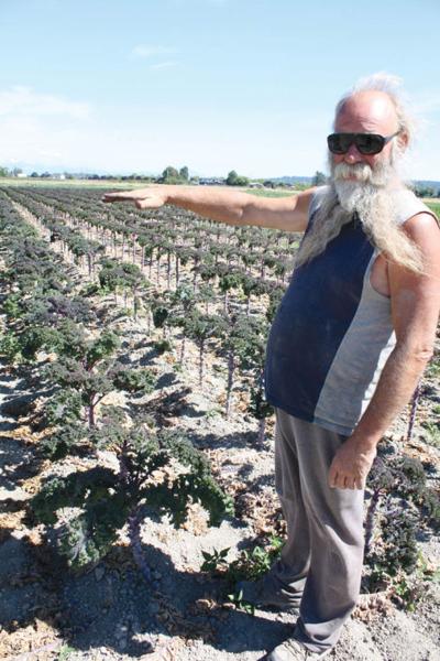 Growing from the dirt; feeding hungry people | SC News | goskagit.com