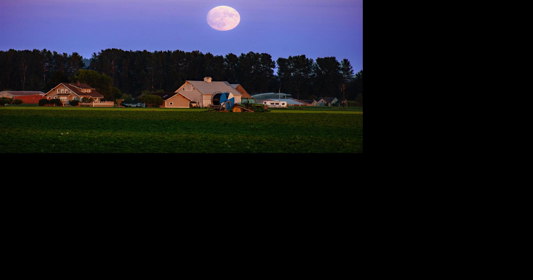 Photos: Skagit Views | Gallery | goskagit.com